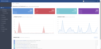 What is Blueworks Insights? | Salient Process