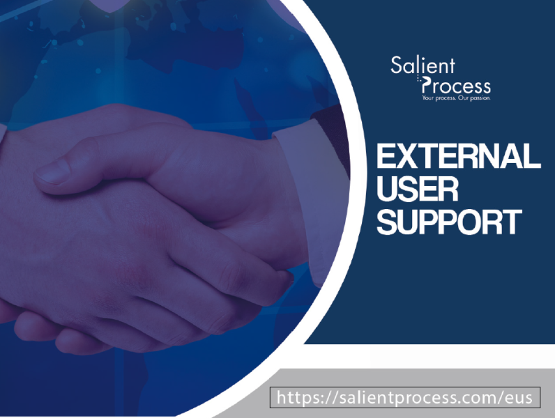 External User Support | SalientProcess